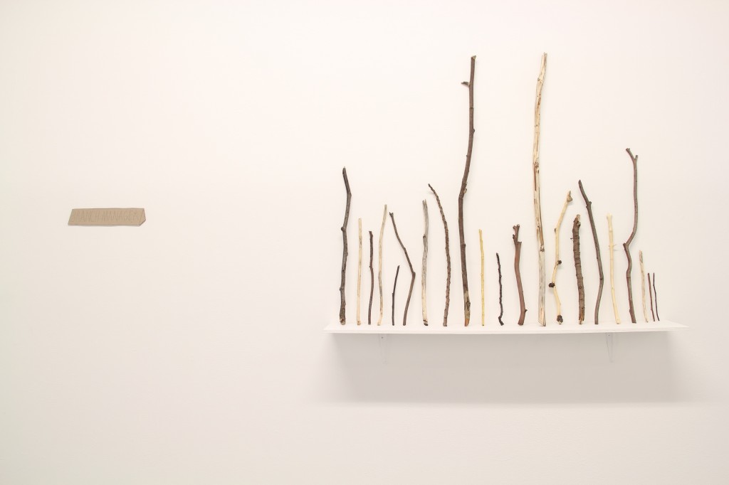 Lizzy Sampson » Exhibition Dollars and Sense now showing at Firstdraft ...